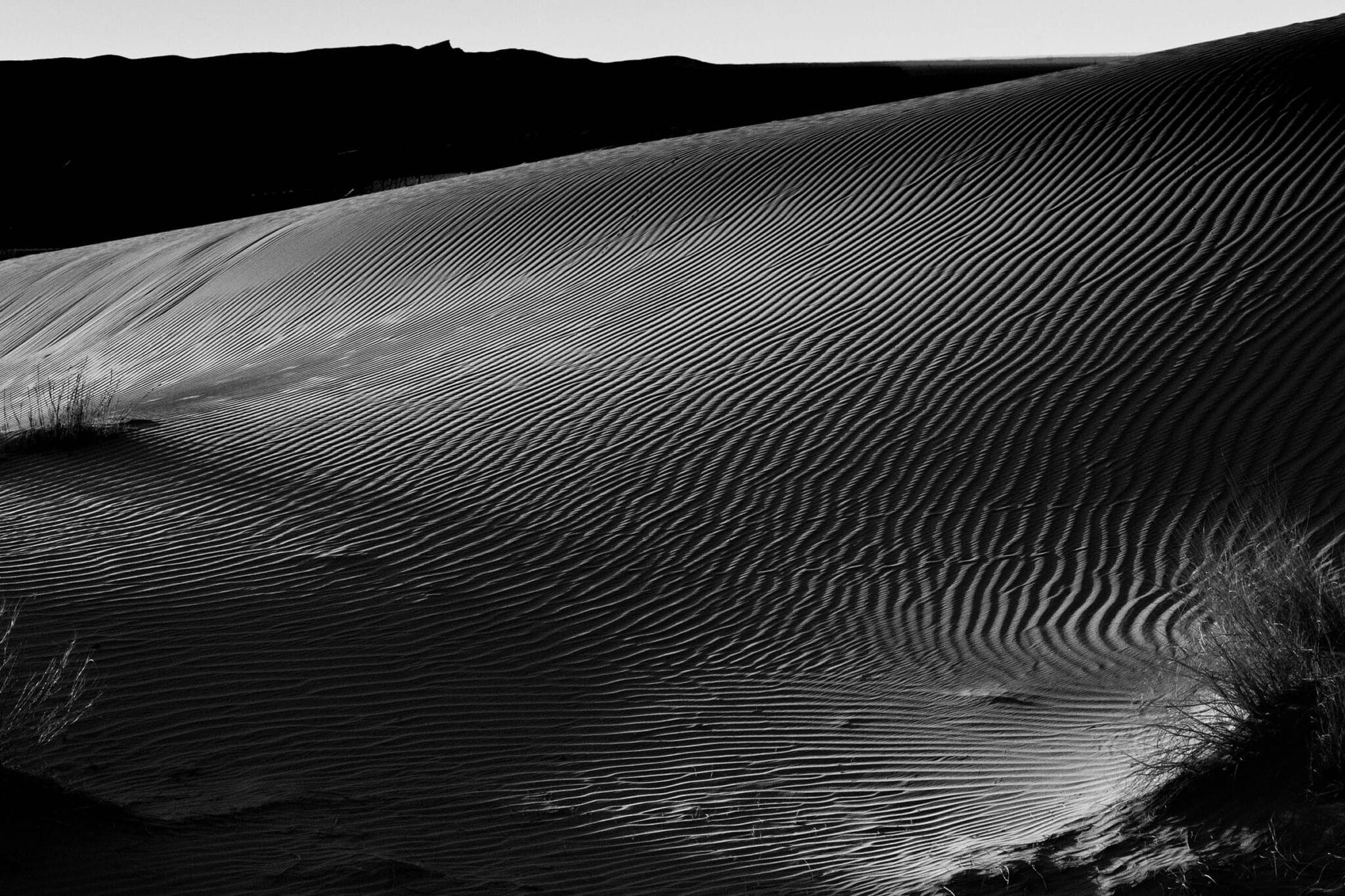 Sahara Sunrise And Shadows 6490 M Slide.jpg | Marty Cohen Photography